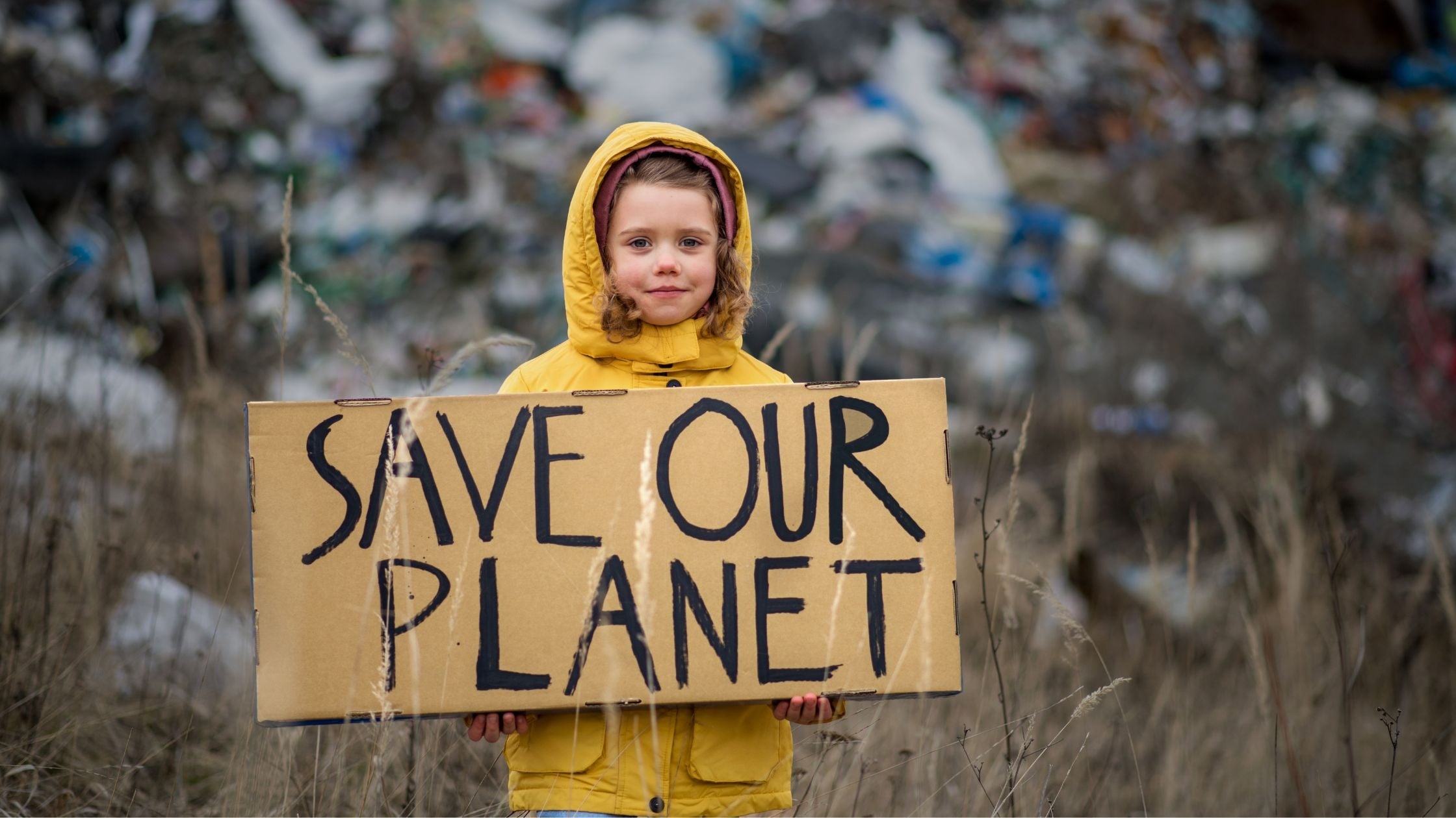 5 Things You Can Do This Bramble Cay Melomys Remembrance Day