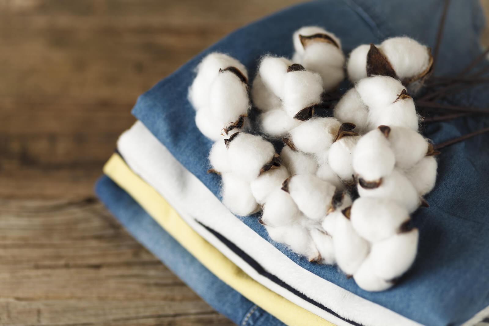 Examples of Natural Fibers (Plus Their Advantages) – Melomys